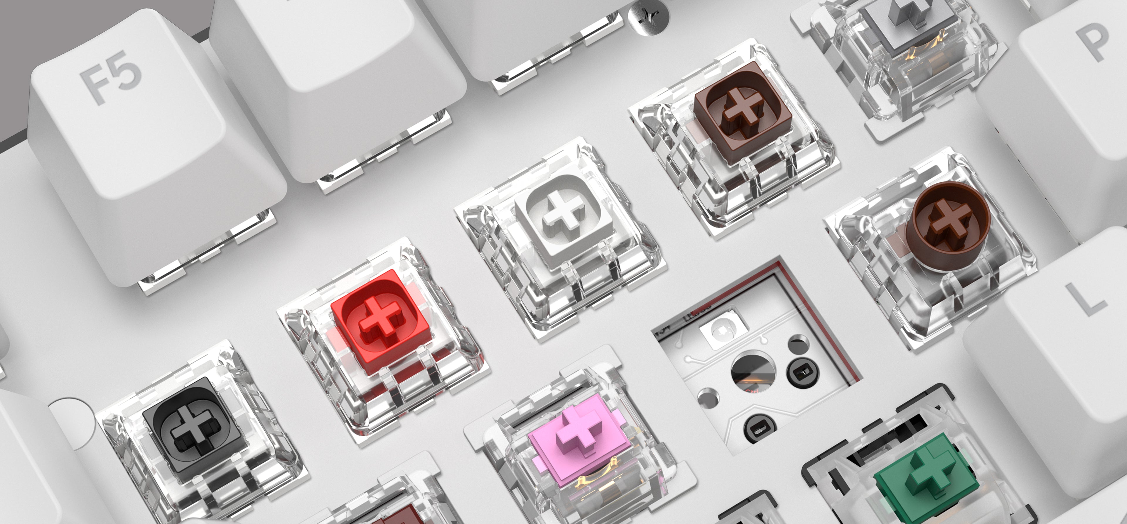 Switches – Pulsar Gaming Gears EU